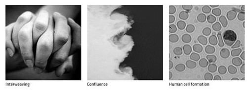 Architektura.info - serwis architektoniczny dla architektów i ...